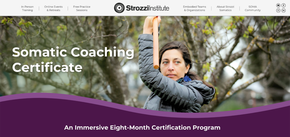 What is a Somatic Coach and How to Become One?