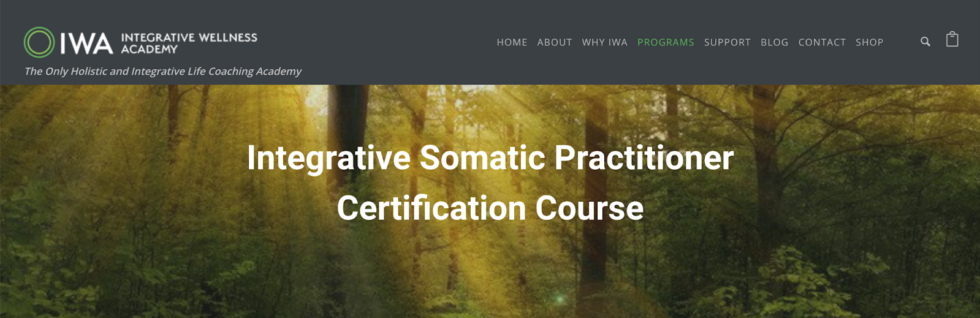 What is a Somatic Coach and How to Become One?