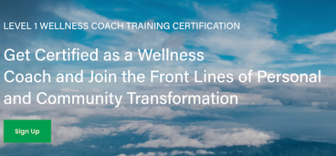 How to Become a Wellness Coach and Transform Lives