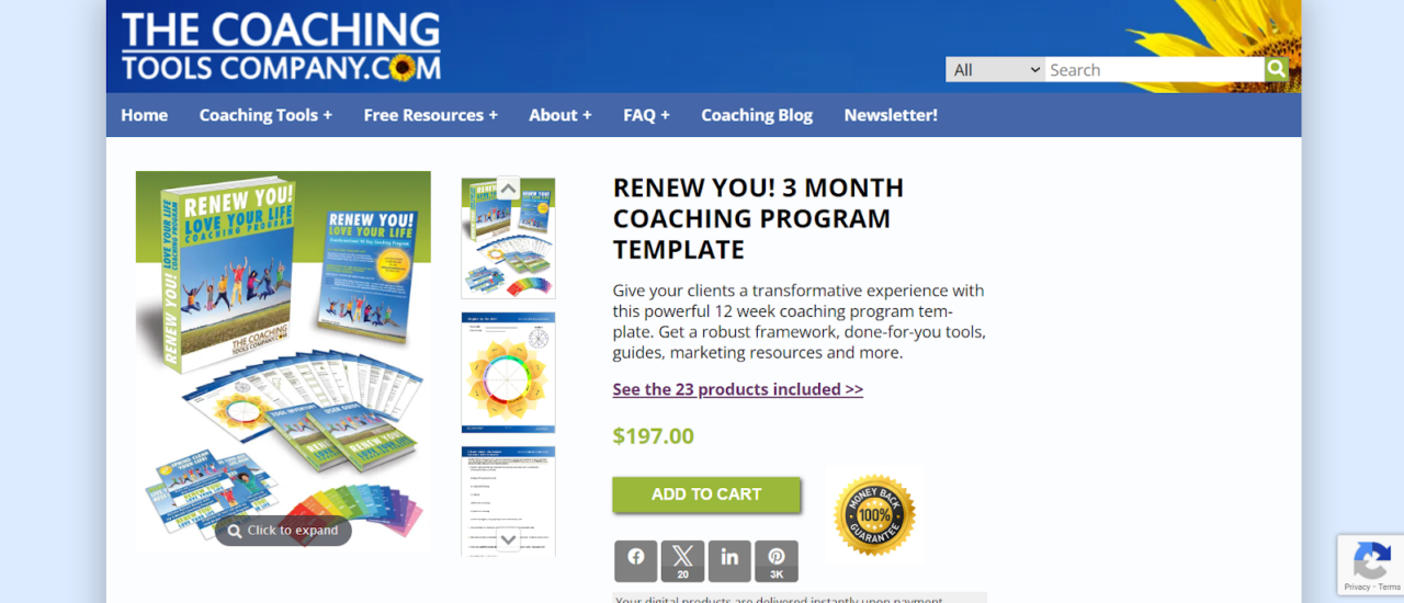 Top Coaching Program Templates (Free and Paid)
