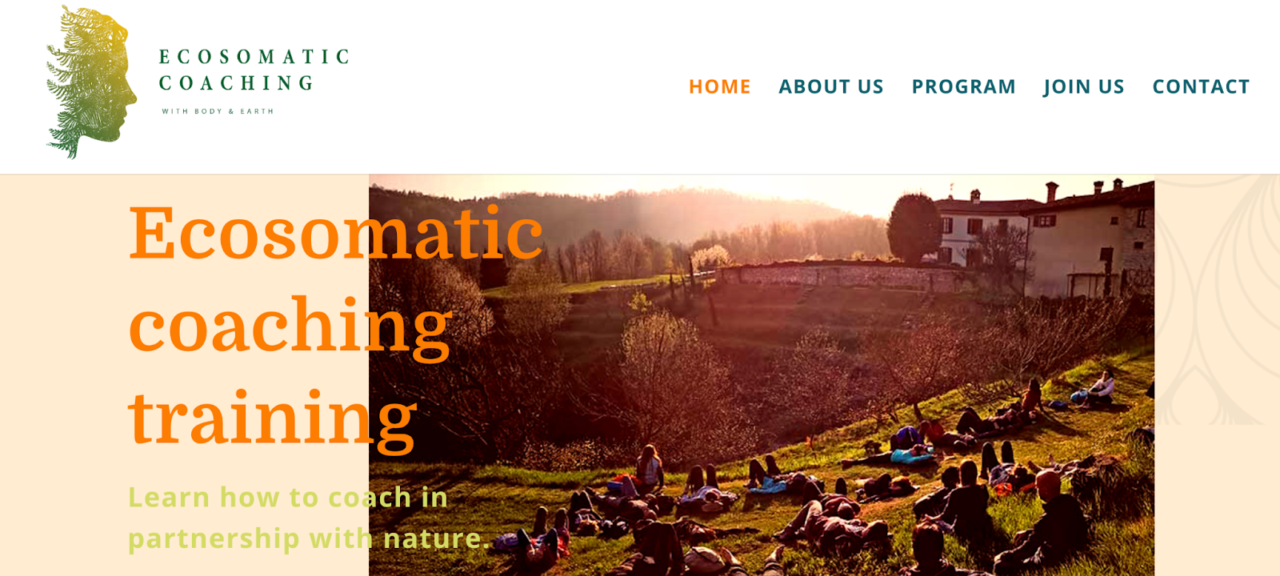 Eco Coaching: A Guide to Environmental-Focused Coaching