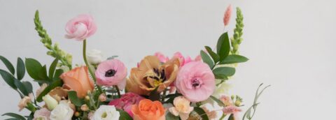 Brooke Castillo and the Life Coach School: Is It Worth $18,000?